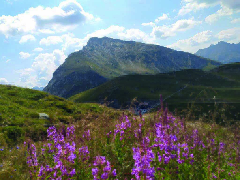Rund um den Jaufenpass - die BAZ