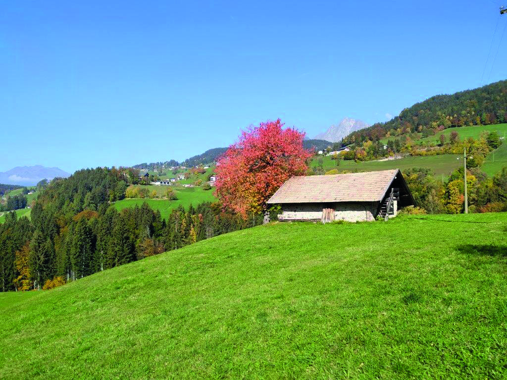 5 Blick nach Hafling und zum Ifinger - die BAZ