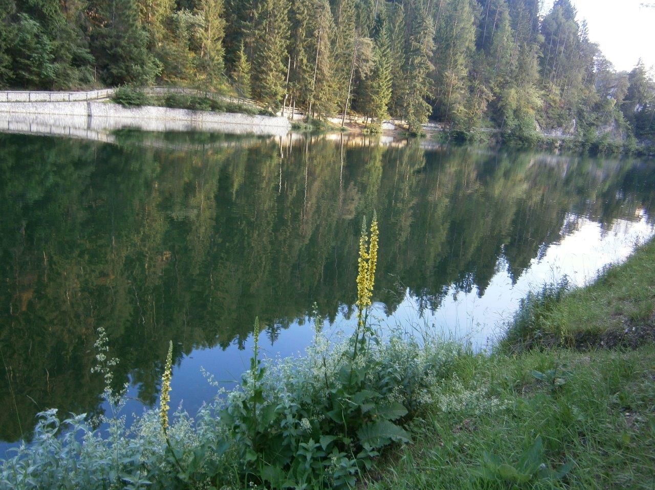 Durch die wilde Rio-Sass-Schlucht - die BAZ